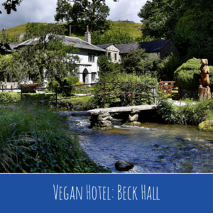 Vegane Hotels in Deutschland & Europa // Vegan Reisen – think vegan